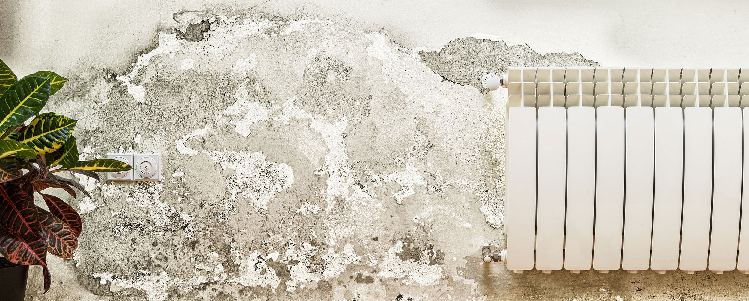 Combatting Damp and Mold Problems in the UK By Using Multiple Smart De ...